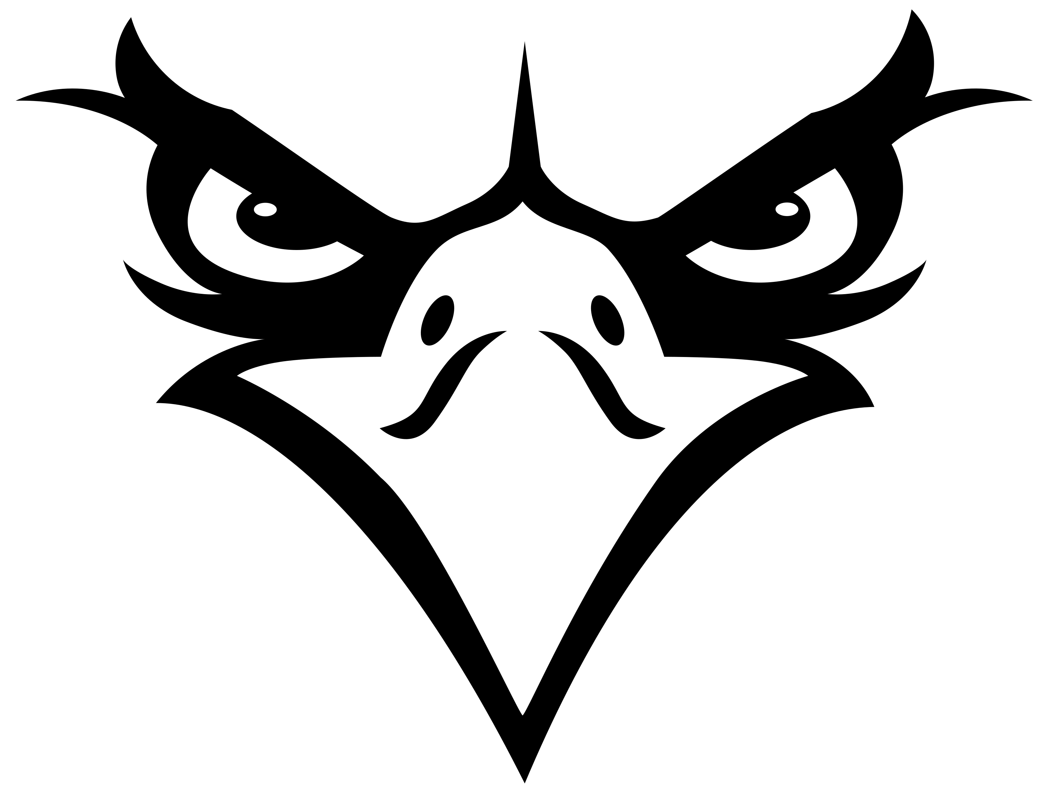 Create Black Hawk Security Landing Page