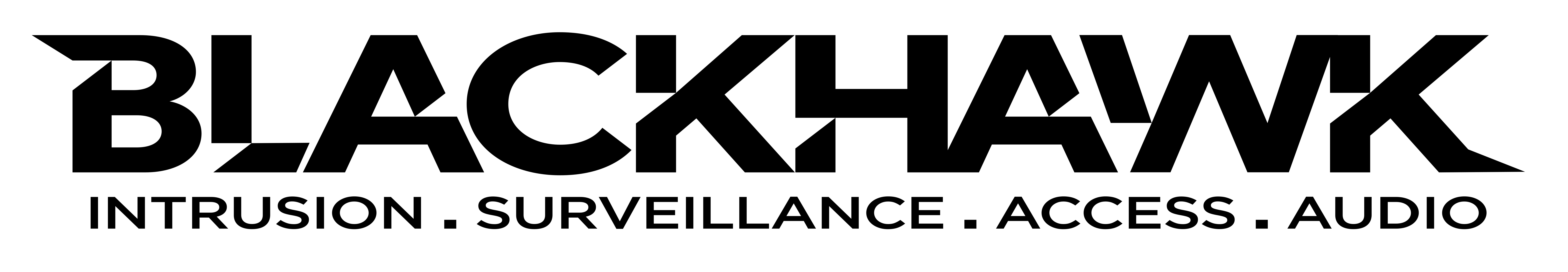 Create Black Hawk Security Landing Page